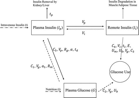 A Methodology Of Phenotyping Icu Patients From Ehr Data High Fidelity