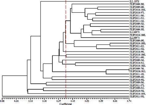 dendrogram of 35 lentil genotypes generated from sequence related