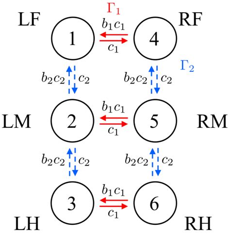 论文审查 A Central Pattern Generator Network For Simple Control Of Gait Transitions In Hexapod
