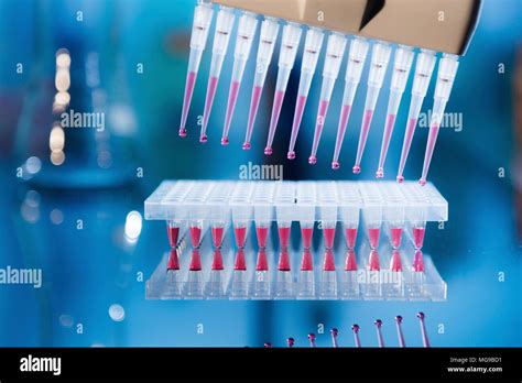 Multichannel Pipette Sample Hi Res Stock Photography And Images Alamy