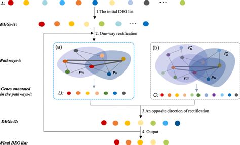 The Details Of The Two Way Rectification The Cycle Nodes With Color