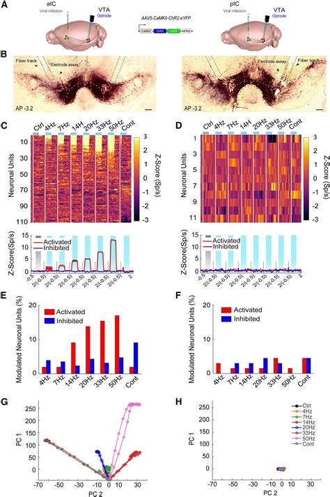 Top Down Circuitry From The Anterior Insular Cortex To Vta Dopamine