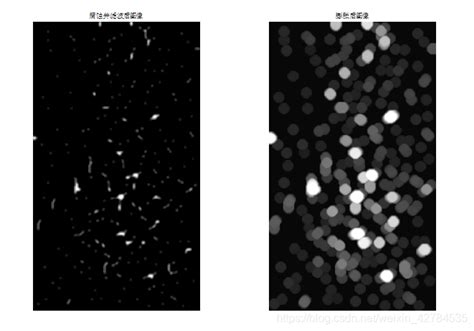 数字图像处理matlab 形态学图像处理（附代码） Matlab形态学处理案例 Csdn博客