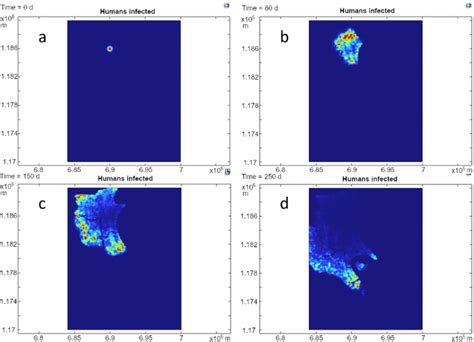 Spatiotemporal Evolution Of The Infected Population From A Hot Spot Download Scientific Diagram