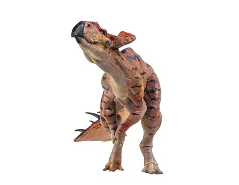Protoceratops Walking With Dinosaurs