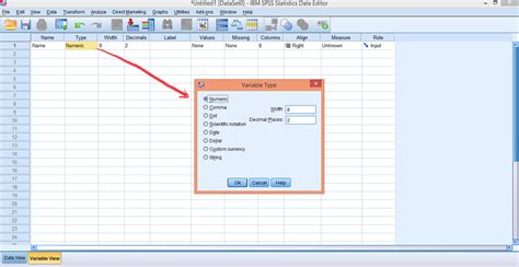 The Awakener Introduction To Spss Part 1