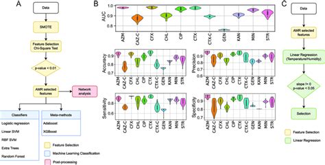 Workflow Of The ML Pipeline And Prediction Performance Results Download Scientific Diagram