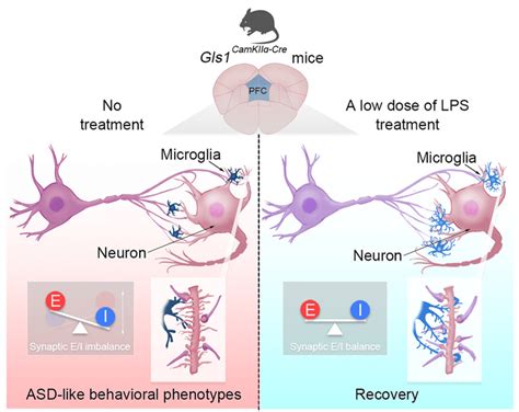 The Significance Of Single Cell Sequencing In Neurology