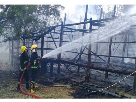 စစ်ကိုင်းတိုင်းဒေသကြီးအတွင်း ၂၀၁၉ ၂၀၂၀ ဘဏ္ဍာရေးနှစ်တွင် ငွေကျပ် ၆၈၄ ၀၄