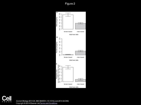 andrás liker robert p freckleton tamás székely current biology ppt download