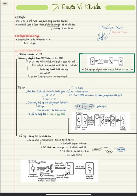 MindmapsTina Vi sinh học P Khử trùng Tiệt trùng Di truyền Vi Khuẩn Y khoa