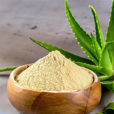 Natural Aloe Vera Powder At ₹ 158kg Aloe Vera Powder In Panchkula