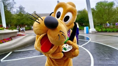 Pluto Disney Verden
