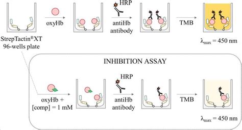 🦠 🧛‍♂️ ☣️ Did You Know That Staphylococcus Aureus Steals Human Hemoglobin During Invasive