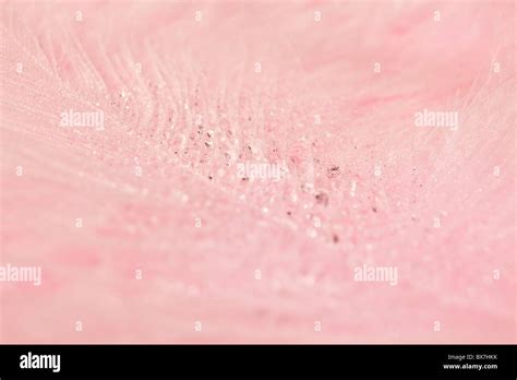 Smooth Texture Objects