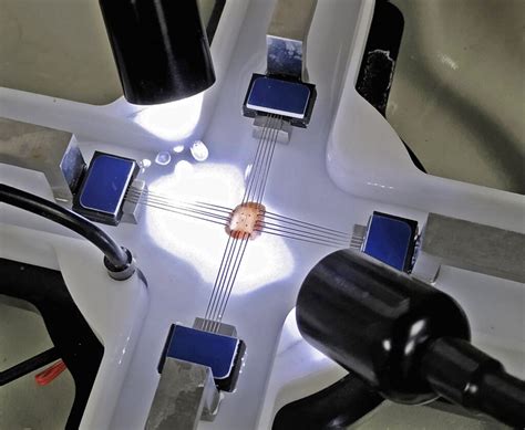 Left Ventricle Multi Scale Contractile Forces Cellscale