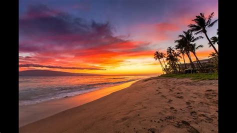 Duncun Milar Dream Your Dream Youtube Music