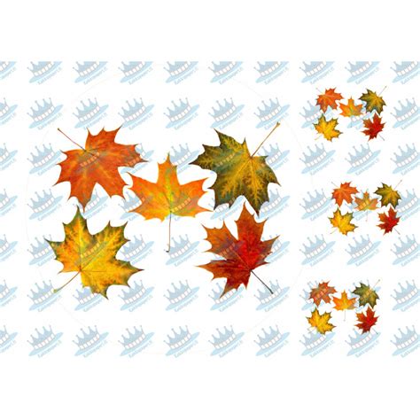 Leaf Edible Cake Topper