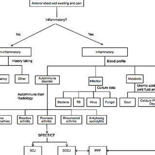 Algorithm Flow Chart Showing The Differential Diagnosis Algorithm Of Download Scientific