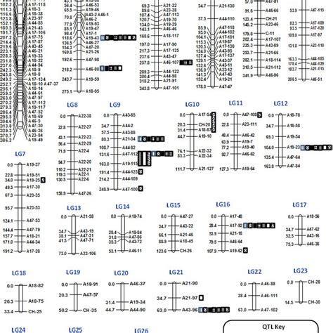 Final Map Showing Qtls And Markers Distribution On The 26 Linkage