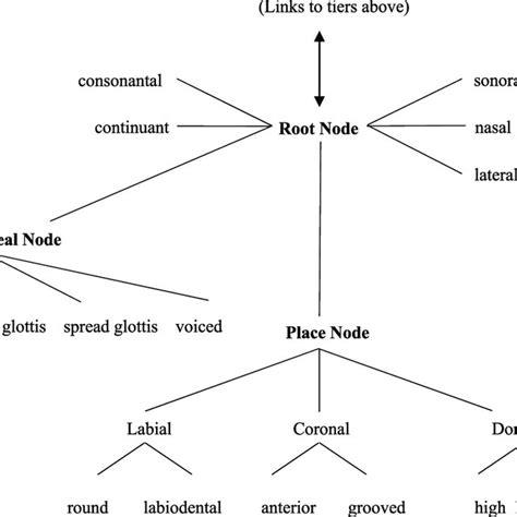 Structure Within The Segment Download Scientific Diagram