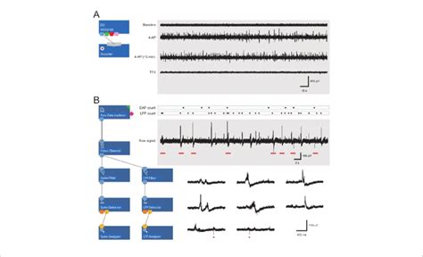 Data Recording And Analysis Tool Layouts And Example Microelectrode Download Scientific Diagram