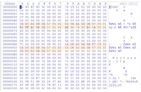 Solved Please Examine The MFT FILE Record Below And Report Chegg Com