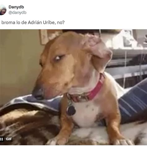 “wey Ya” Usuarios En Redes Reaccionan Con Memes A La Incursión De Adrián Uribe En La Política