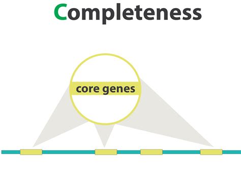 Slides Genome Assembly Quality Control Genome Assembly Quality