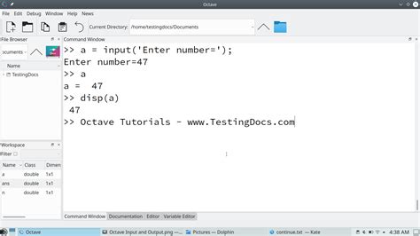 Octave Input And Output Testingdocs