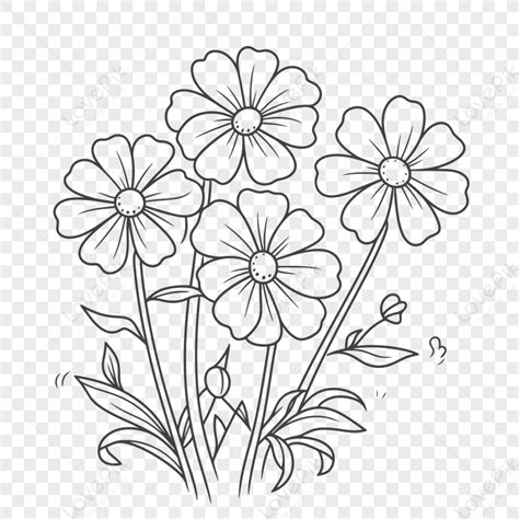 코스모스 꽃 색칠 페이지 다운로드 아웃라인 스케치 그림의 인쇄 가능한 이미지 벡터두꺼운 선개요 예술 Png 일러스트 무료