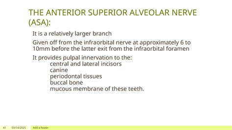 5th Cranial Nerve Trigeminal Nerve Anatomypptx