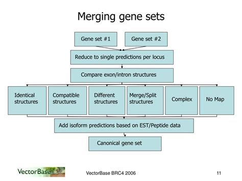 Ppt Vectorbase Annotation Metrics Powerpoint Presentation Free