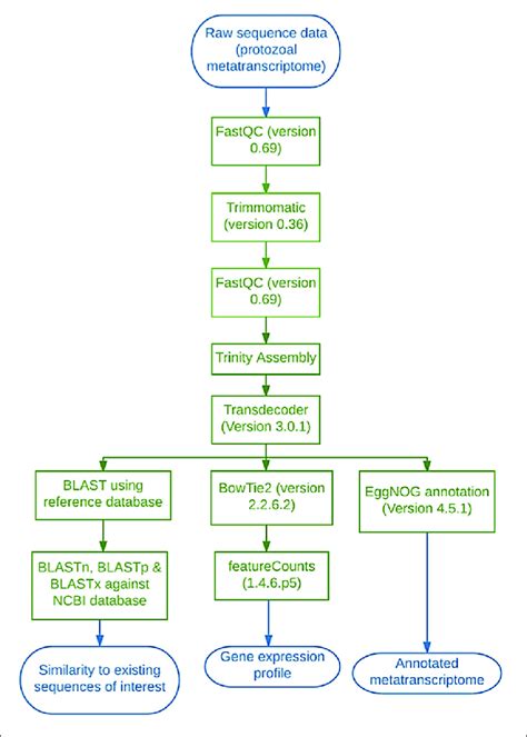 Diagrammatic Representation Of The Workflow Employed On The Galaxy Download Scientific