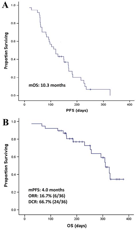The Efficacy Evaluation Of Apatinib In The Phase Ii Clinical Trial In