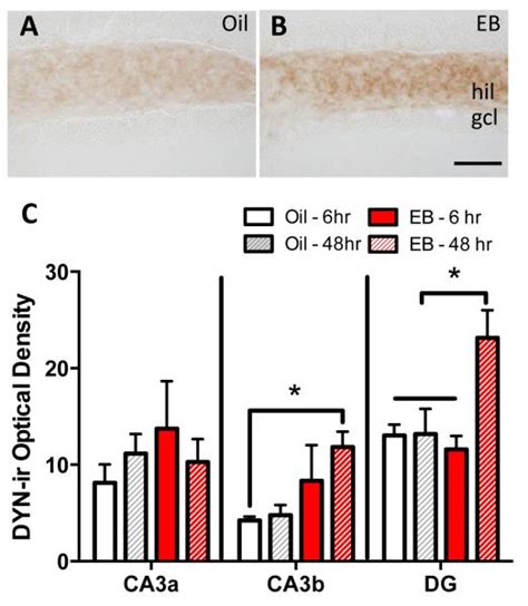 Sex And Estrogen Receptor Expression Influence Opioid Peptide Levels In The Mouse Hippocampal