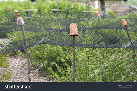 Bird Deterrent Images Stock Photos Vectors Shutterstock