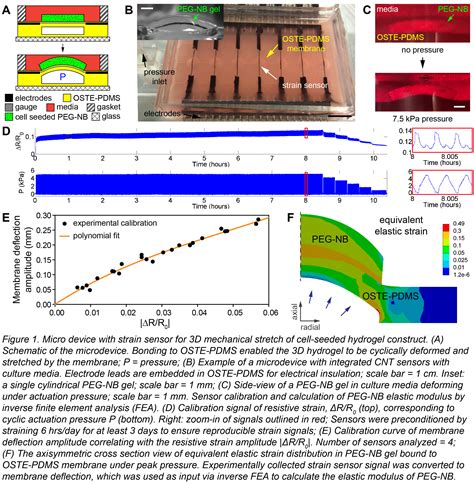 Frontiers A Microfabricated Platform With Hydrogel Arrays And On Chip Strain Sensing For