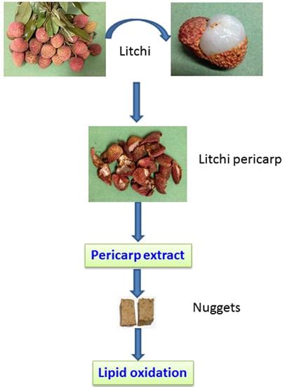 Antioxidants Special Issue Lipid Oxidation In Meat And Poultry