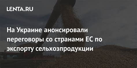 На Украине анонсировали переговоры со странами ЕС по экспорту сельхозпродукции Украина Бывший