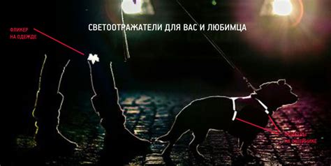 Светоотражатель для пешеходов. Купить светоотражатель на одежду в СПб ...