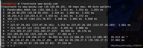 kali 信息搜集工具 命令 kali中tctrace命令用法 csdn博客