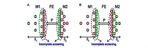 A Ferroelectric Polarization And B Depolarization Caused By