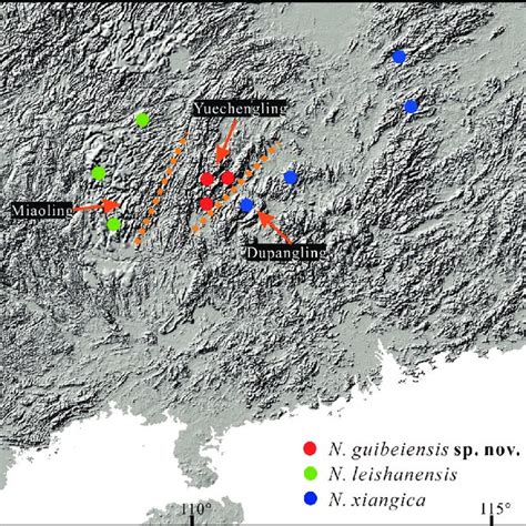 Localities Of The New Species And Its Sister Taxa The Source Of The