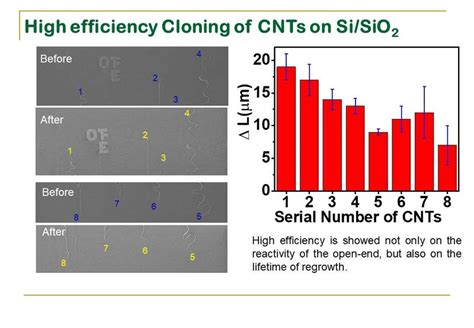 Growth Of Horizontal Carbon Nanotube Arrays With Specific Chirality · Celebrating Millie