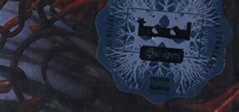 Tool S Prison Sex Lyrics Meaning Song Meanings And Facts