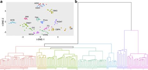 Genome Wide Dna Methylation Profiling Support Tectal Glioma As A