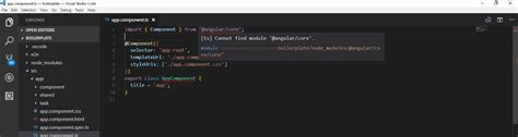 Vs Code Cannot Find Module Angularcore Or Any Other Modules · Issue