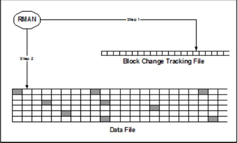ORA Could Not Create The Change Tracking File Erman KARA S Oracle Blog