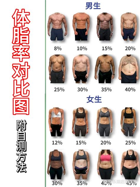 男女体脂率对比图👆来看看你体脂是多少吧